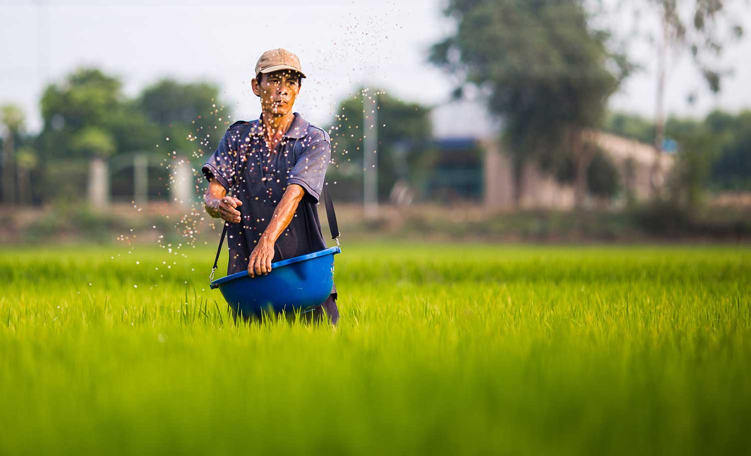 Prepare Yourself and Your Daily Life Well - Good Words Good World