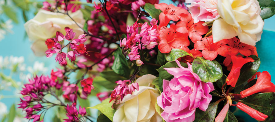 We Have Triumphed - Good Words Good World